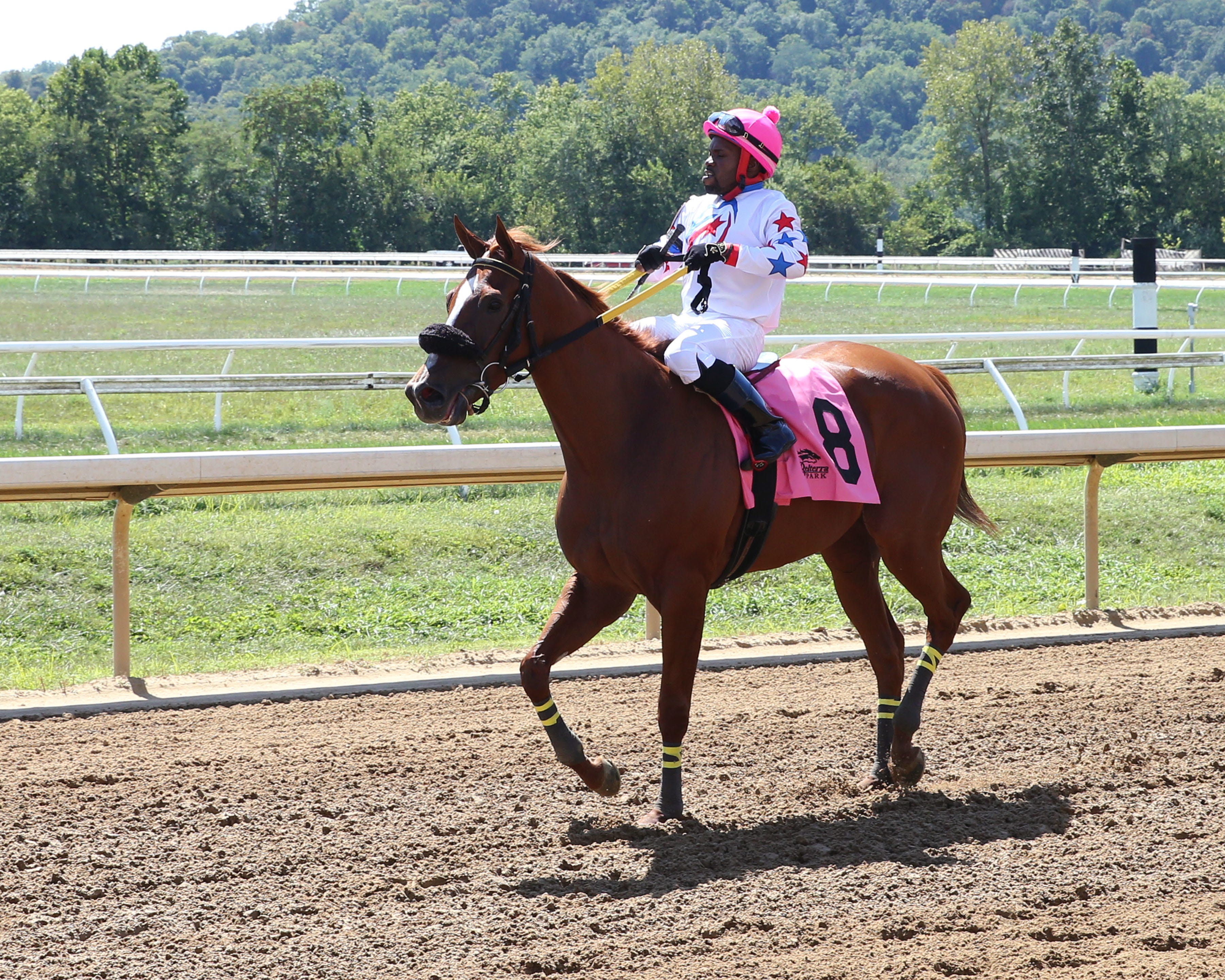 Streaking Drills Wild Brat faces familiar foes in Bricker Memorial