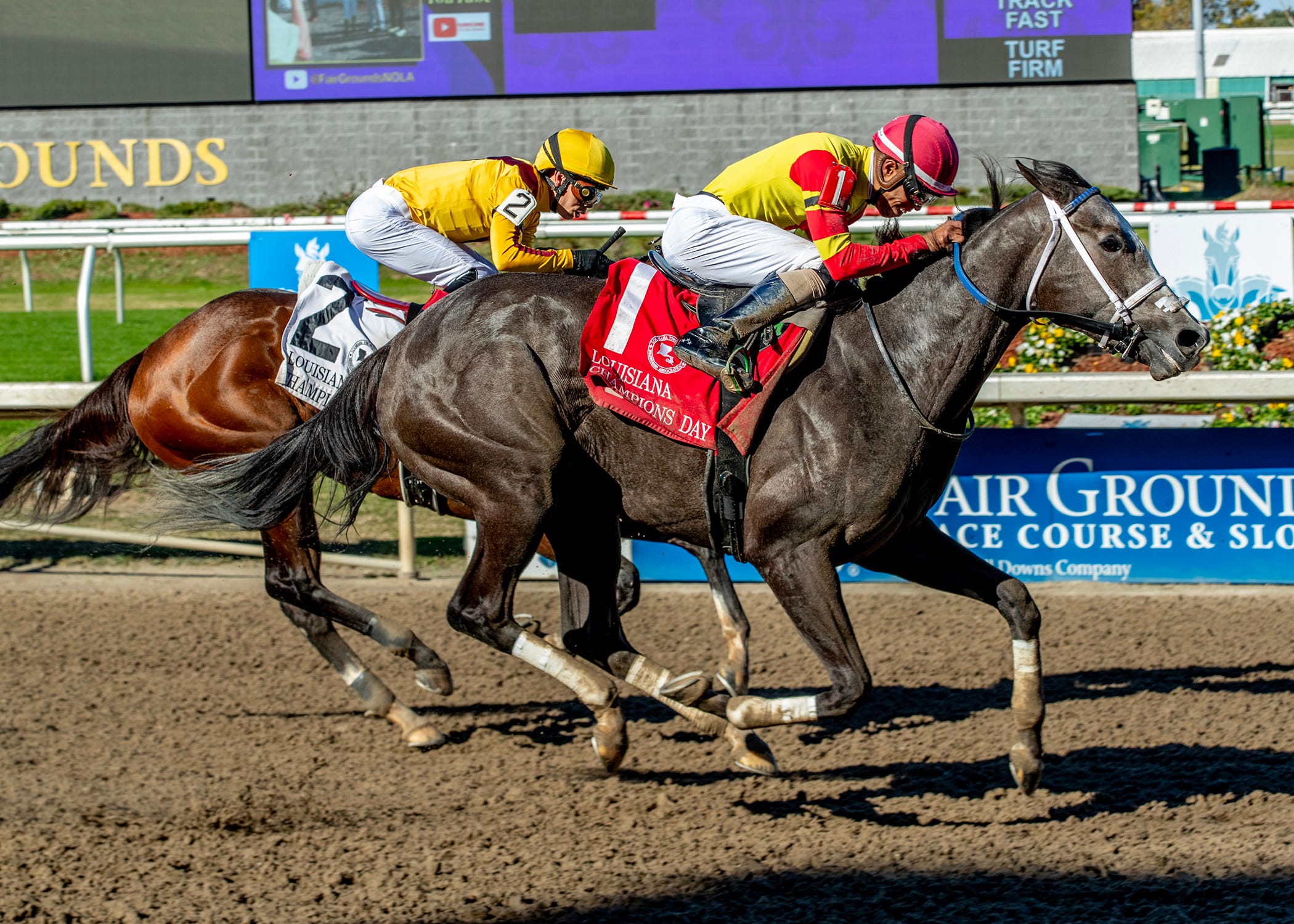 Secret Faith runs down Blue Fire to notch another victory in Ladies Sprint