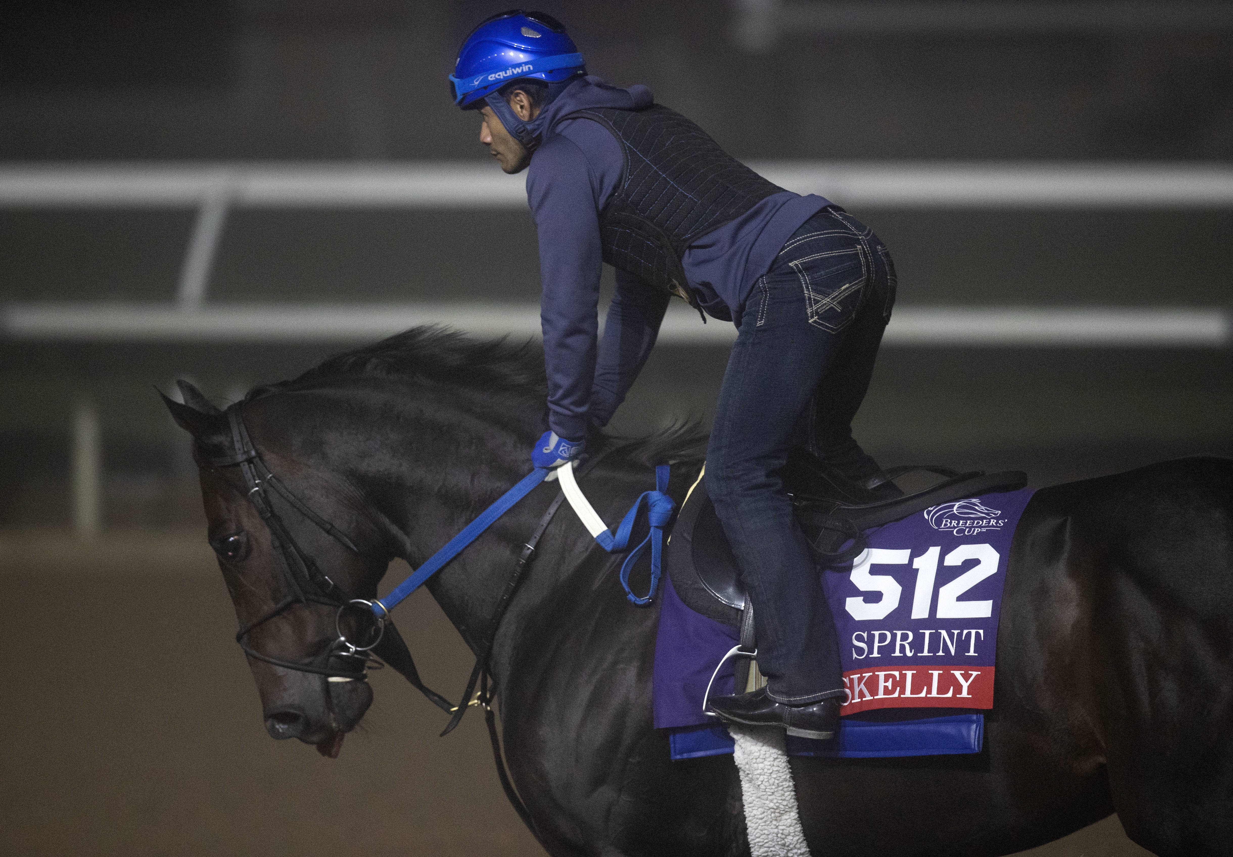 Multiple graded stakes-winning sprinter Skelly retired