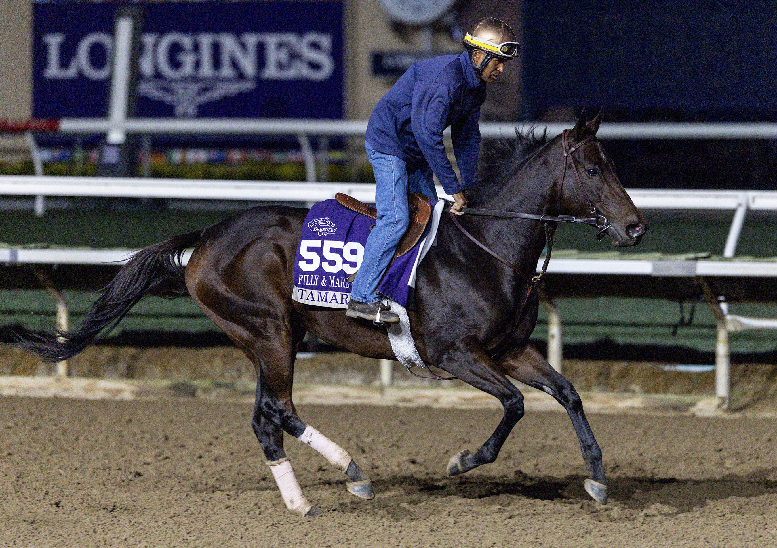 Tamara to start next in Las Flores; disqualified from Chillingworth win
