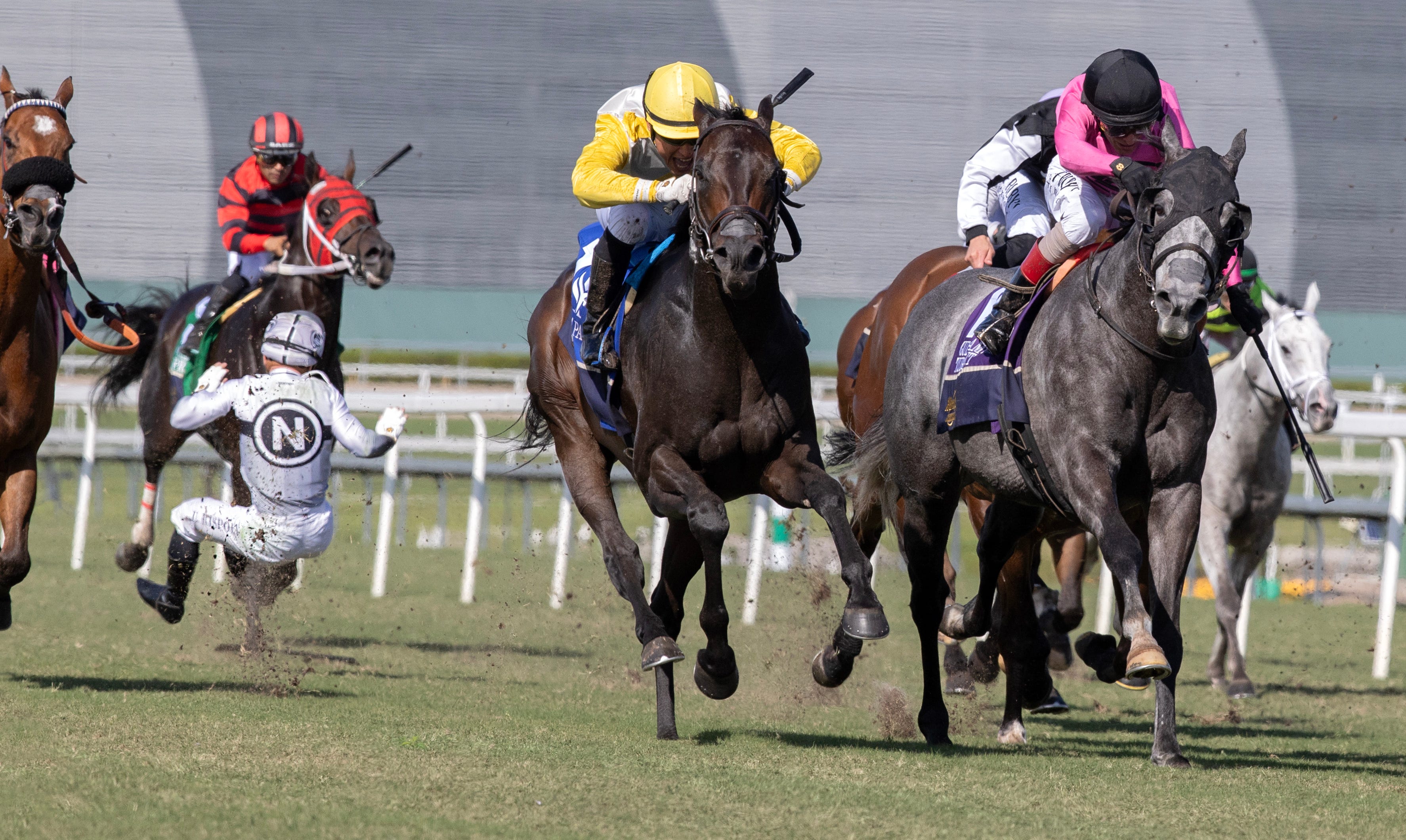 Rispoli, leading rider at Santa Anita, has ankle surgery after spill at ...