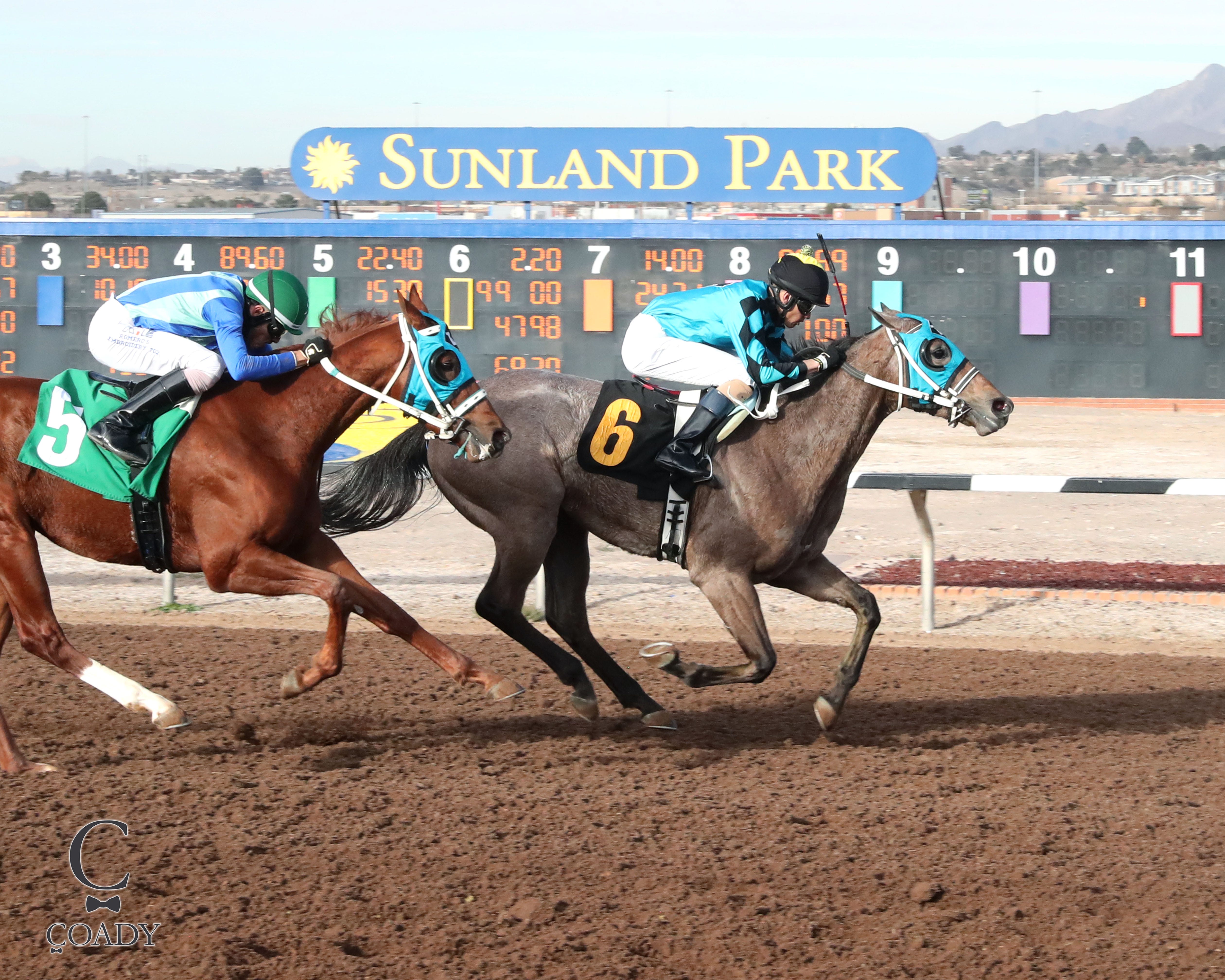 Marking progeny sweep 3-year-old stakes