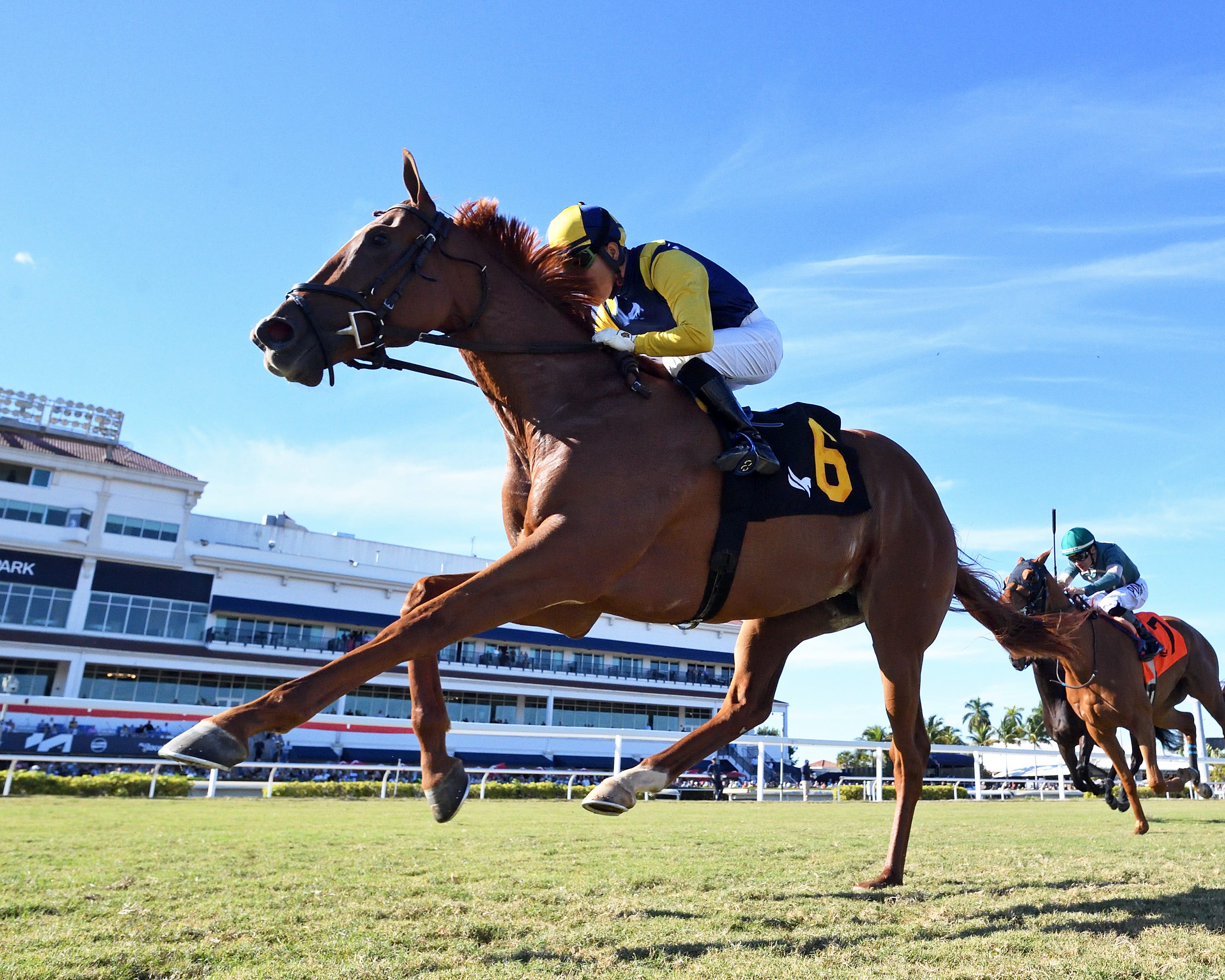 Alpyland, Sister Troienne try to extend streaks in separate turf stakes
