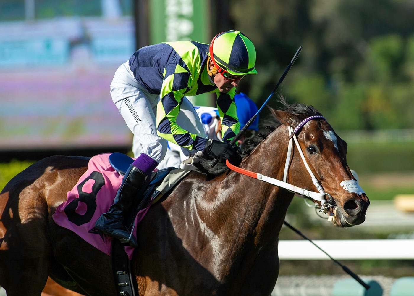 Vodka Vodka possible for Santa Anita Handicap after Unusual Heat triumph