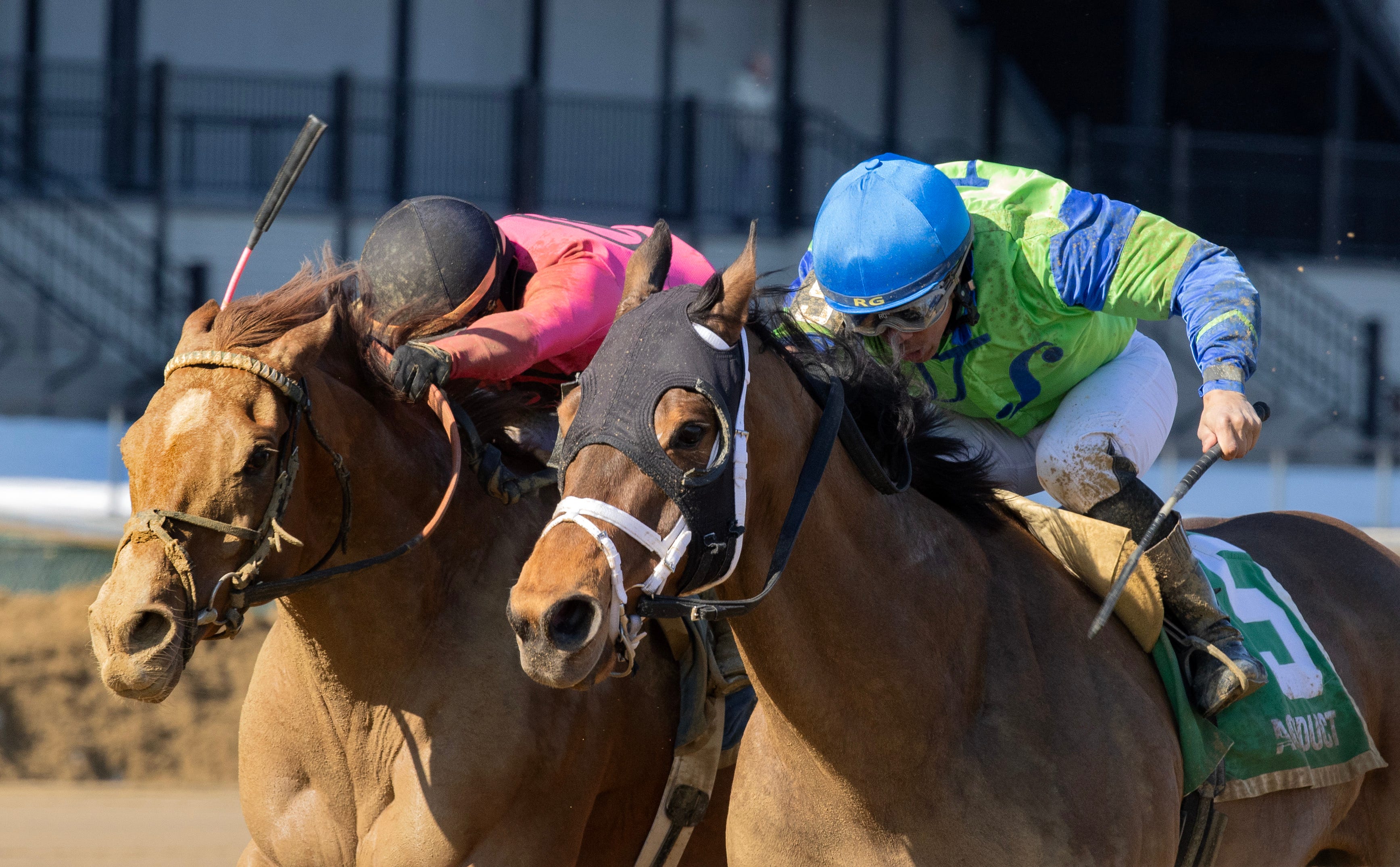 Bold Journey flies late to upset the Tom Fool