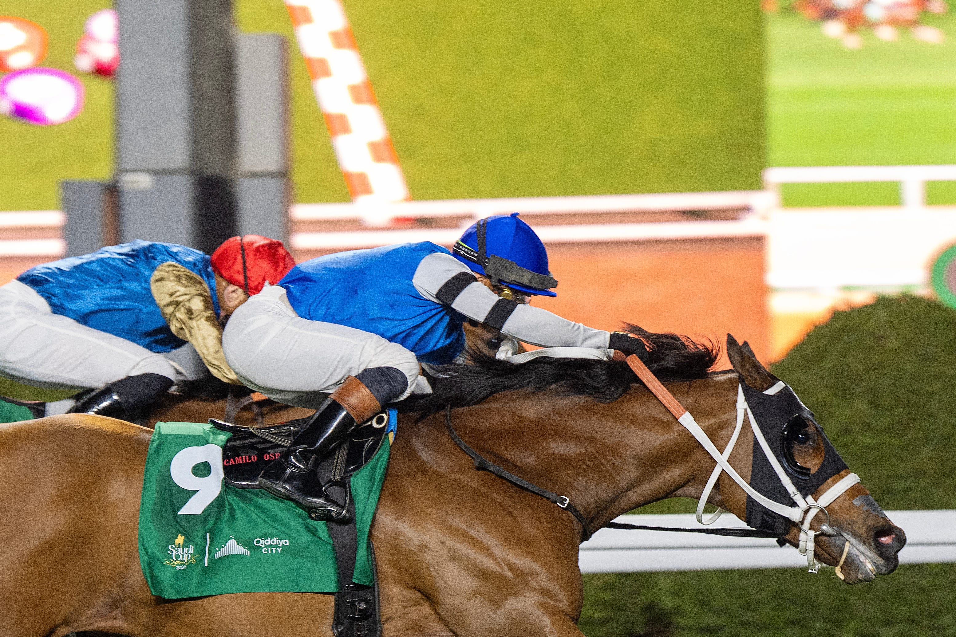 Reef Runner to stay in Middle East for Al Quoz Sprint on turf next month