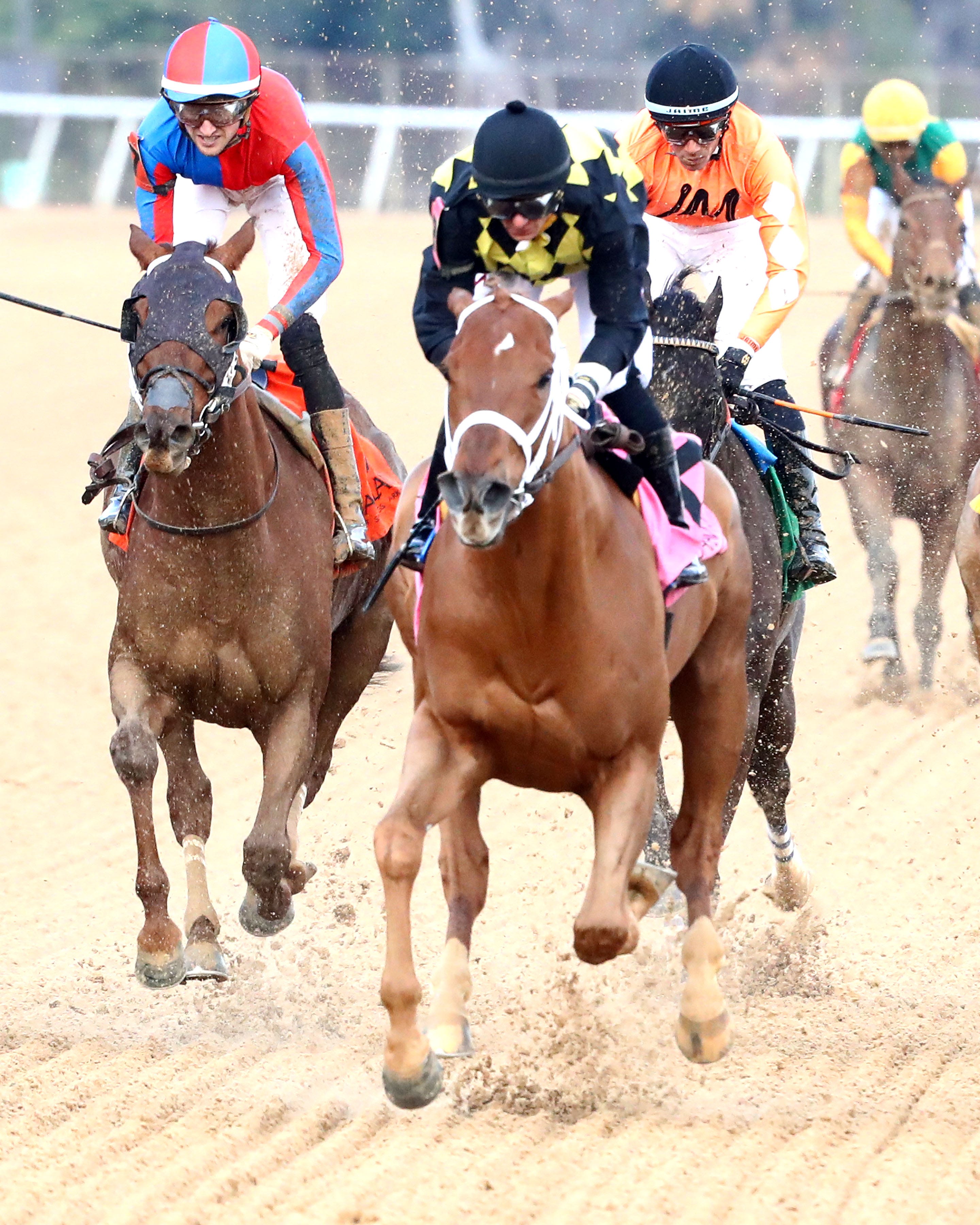 Touchdown Arkansas scores first stakes win in Nodouble
