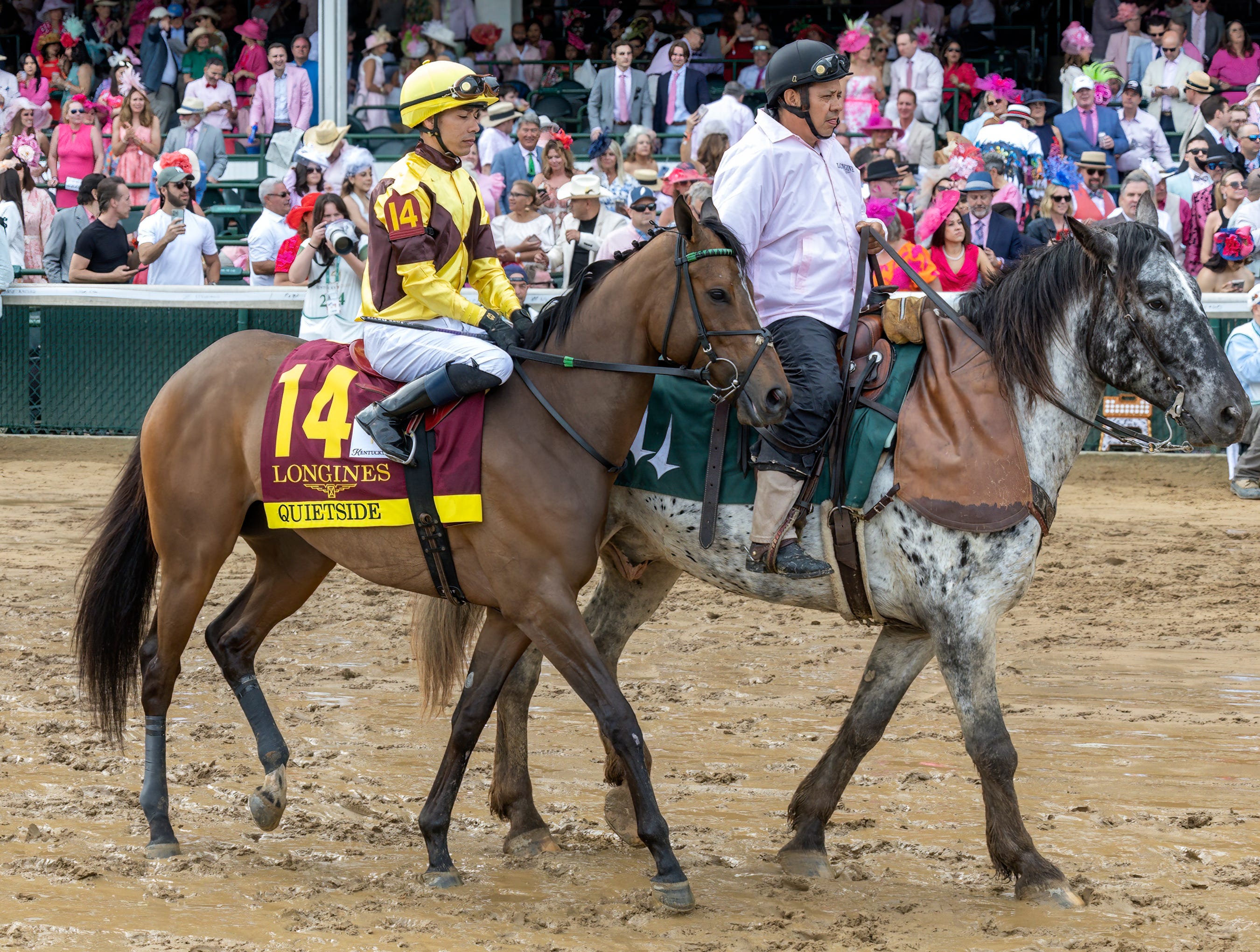 Ortiz says Quietside's rhythm perfect for Azeri