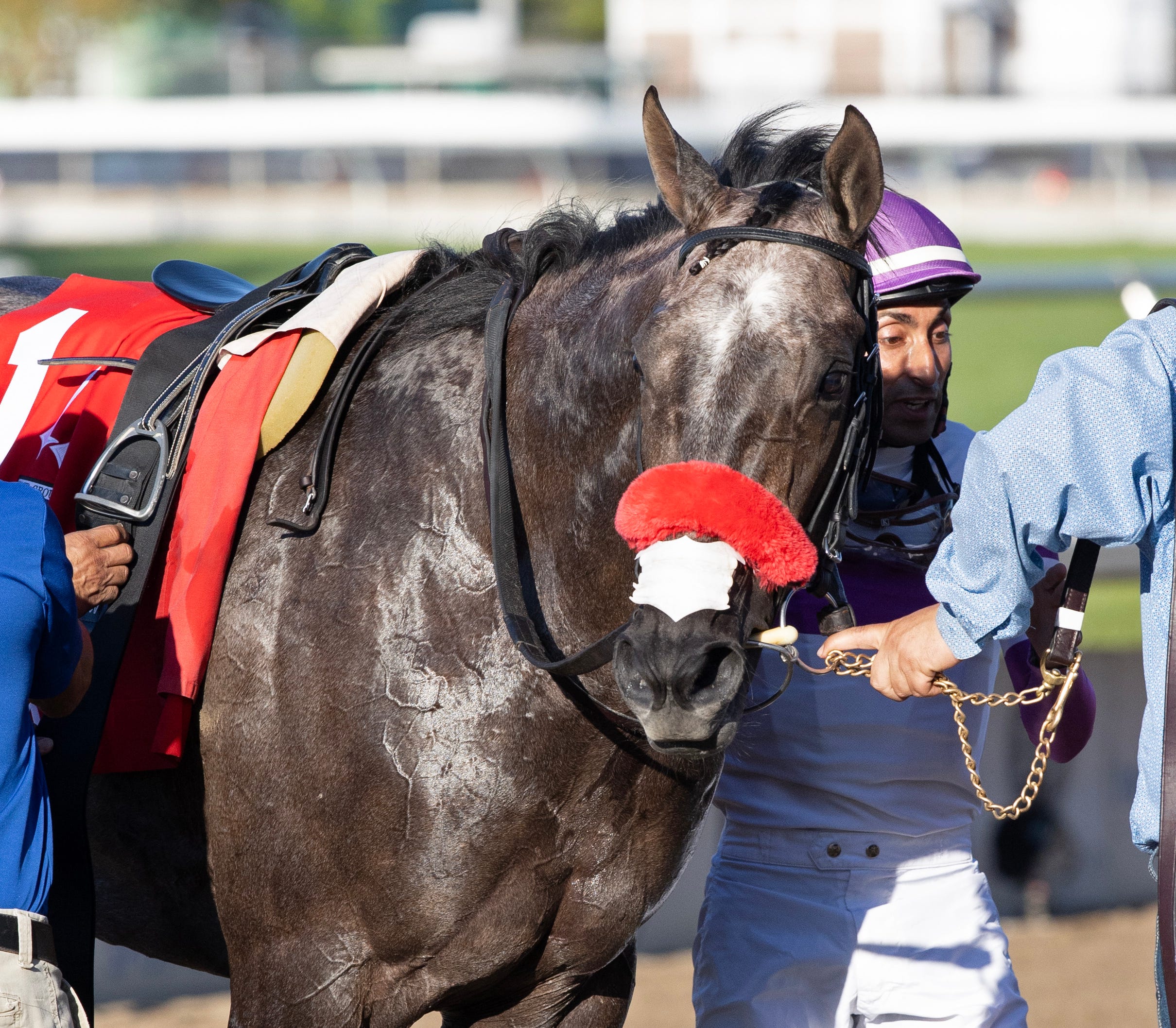 Kentucky Derby pedigree profile: Pavlovian