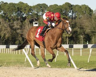 Daily Racing Form | Horse Racing | Entries | Results | PPs (Past ...