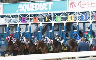 DRF's Horse Racing Playbook for Sunday, February 12, 2023