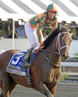 Albano, Protonico head Smarty Jones probables