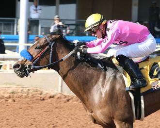 Zia Park Distaff win earns Alliford Bay another racing season
