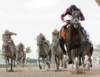 Cairo Prince retired, to stand at Airdrie Stud