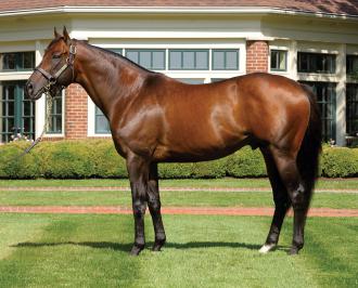 Candy Ride: Leading synthetic sire by earnings and winners
