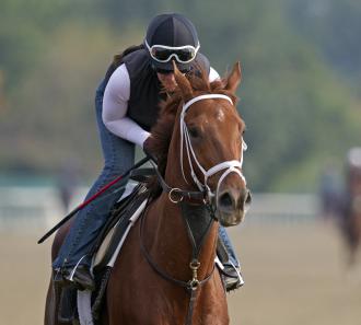 Aqueduct: Capo Bastone looks to spring Cigar Mile upset