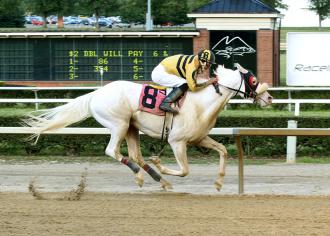 Rare white Thoroughbred wins at Mountaineer