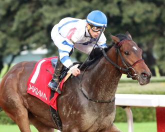 Count de Monet seeks second stakes win of meet on card devoted to 2 ...