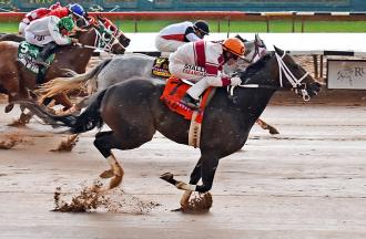 Danjer will be tested in bid for Challenge Championship repeat