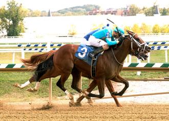 Kathy Ritvo running pair of Dean Reeves purchases in allowance feature