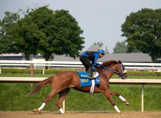 Joseph works Drain the Clock, A. P.'s Secret for upcoming stakes