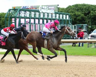 Daily Racing Form | Horse Racing | Entries | Results | PPs (Past ...