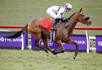 Daily Racing Form | Horse Racing | Entries | Results | PPs (Past ...