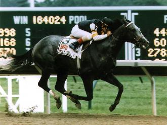 Holy Bull - Alchetron, The Free Social Encyclopedia