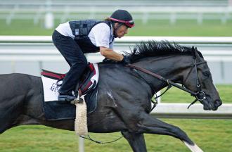 Honor Code continues training for comeback