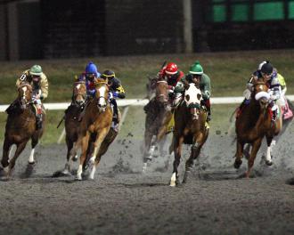 In a Jif goes wire to wire to win first stakes in Holiday Inaugural