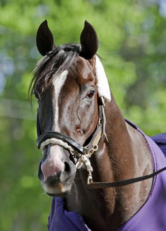 Belmont notes: Jackson Bend ready for Met Mile