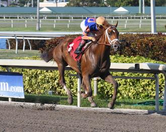 Daily Racing Form | Horse Racing | Entries | Results | PPs (Past ...