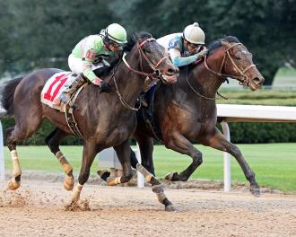 Daily Racing Form | Horse Racing | Entries | Results | PPs (Past ...