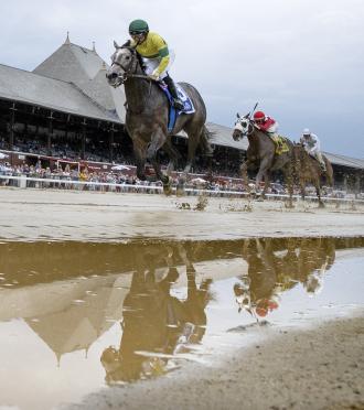 Maple Leaf Mel makes short work of Seeking the Ante Stakes