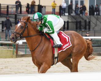 Mr. Buff a heavy favorite as he cuts back to mile in Haynesfield