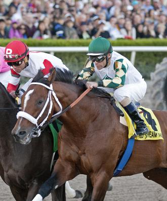 Gulfstream Park: Mucho Macho Man sharp in first work since Sunshine ...