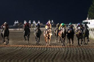 DRF's Horse Racing Playbook for Sunday, September 25, 2022