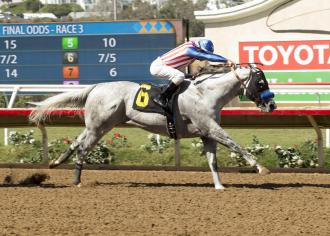 Power Jam sets track record in winning Pirate's Bounty