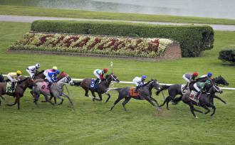 DRF's Horse Racing Playbook for Thursday, July 28, 2022