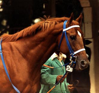 Secretariat tops nominees for Canadian Horse Racing Hall of Fame ...
