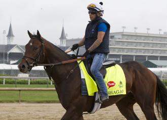 Shagaf injured, will miss rest of 2016