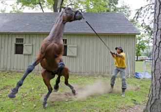The Big Beast to miss two months with bone chip | Daily Racing Form