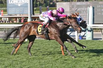 Toinette looks tough on turf