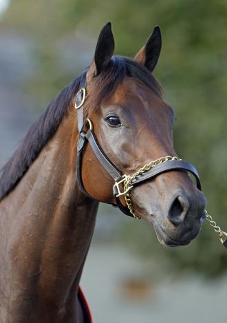 Uncle Mo - Alchetron, The Free Social Encyclopedia