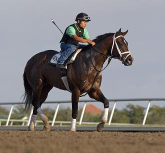 Verrazano (horse) - Alchetron, The Free Social Encyclopedia