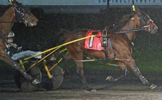 Yonkers: Backstreet Shadow fastest in final leg of MGM Borgata Pacing ...