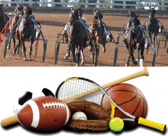 Harness: Marriage of racing and sports betting works fine