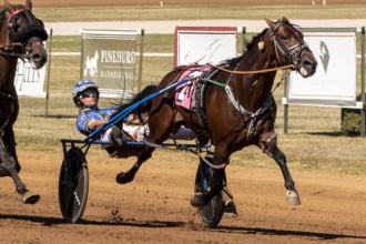 Harness: Barefoot on the track