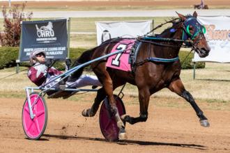 Red Mile: Alagna Armada sails to two Corbin Sires Stakes victories