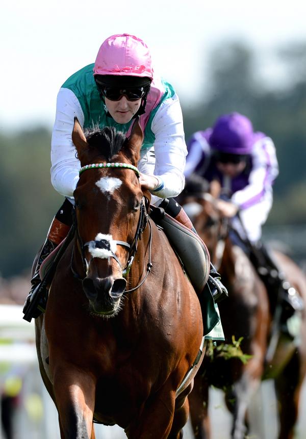 Frankel covers first mare, multiple Grade/Group 1 winner Midday